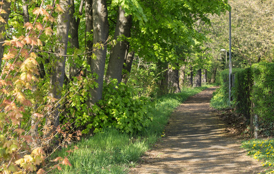 Buesche Bilder – Durchsuchen 12,511 Archivfotos, Vektorgrafiken und ...