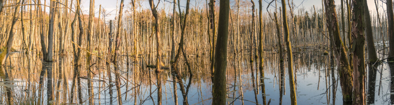 Schorf Bilder – Durchsuchen 304 Archivfotos, Vektorgrafiken und Videos ...