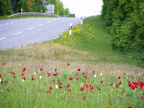 「Fahrbahnrand」の写真素材 | 463件の無料イラスト画像 | Adobe Stock