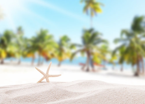 「Konche」の写真素材 | 7,730件の無料イラスト画像 | Adobe Stock