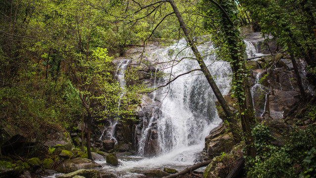 Lyd Photography photos, images, assets | Adobe Stock