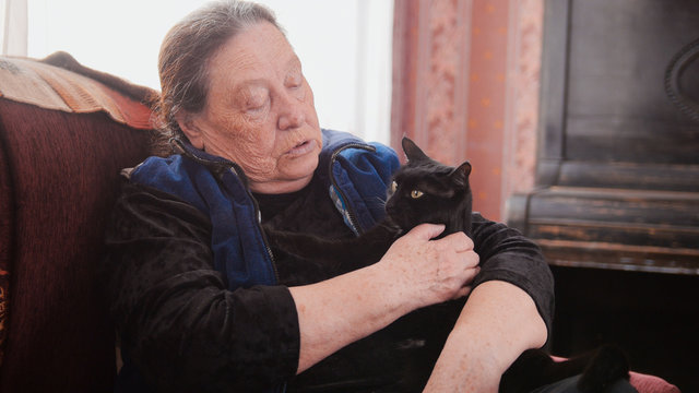 49 BEST Sinior IMAGES, STOCK PHOTOS & VECTORS | Adobe Stock