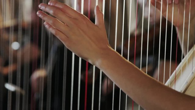 Harp Video Footage – Browse 1,716 HD Stock Video and Footage | Adobe Stock
