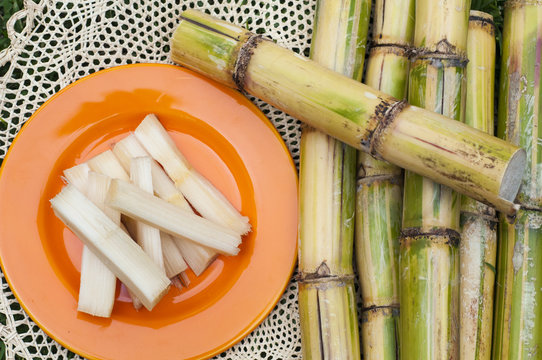 Azucar Images – Browse 7,559 Stock Photos, Vectors, and Video | Adobe Stock