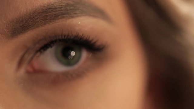 Lash Tint Images – Browse 5,305 Stock Photos, Vectors, and Video ...