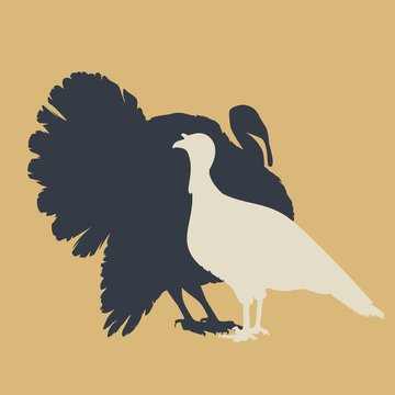 Flying Turkey Silhouette