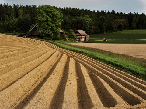 Ackerfurchen bilder – Bläddra bland 396 stockfoton, vektorer och videor ...