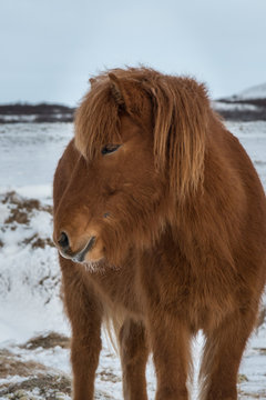 Gaiser Images – Browse 56 Stock Photos, Vectors, and Video | Adobe Stock