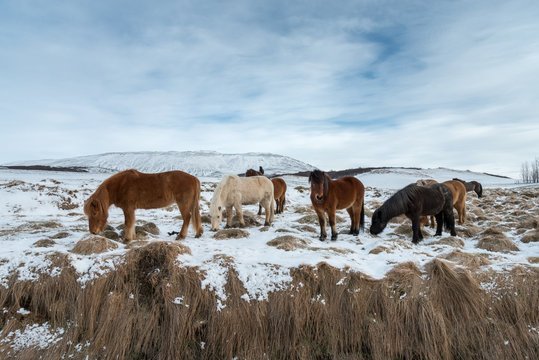 Gaiser Images – Browse 56 Stock Photos, Vectors, and Video | Adobe Stock