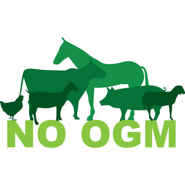 รูปภาพBovini – เลือกดูภาพถ่ายสต็อก เวกเตอร์ และวิดีโอ40,072 | Adobe Stock