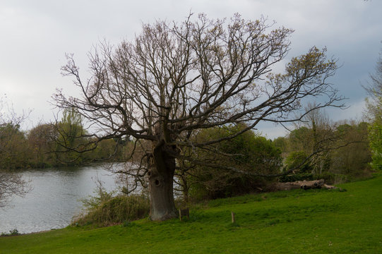 melvito photos, images, assets | Adobe Stock