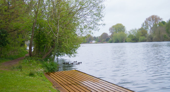 melvito photos, images, assets | Adobe Stock