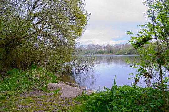 melvito photos, images, assets | Adobe Stock