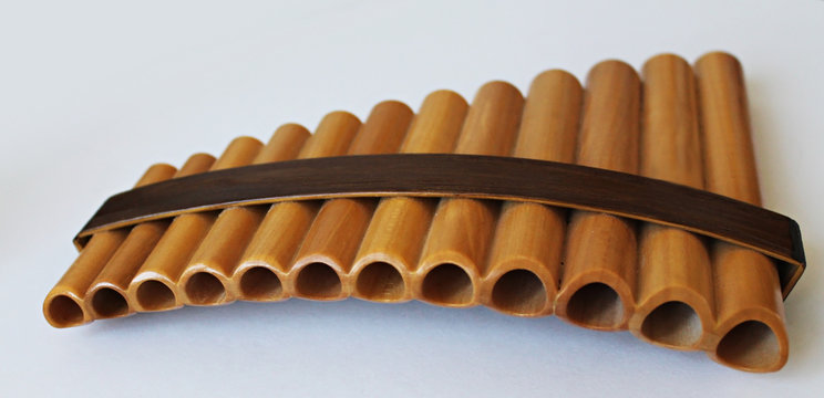 Zapona Images – Browse 50 Stock Photos, Vectors, and Video | Adobe Stock