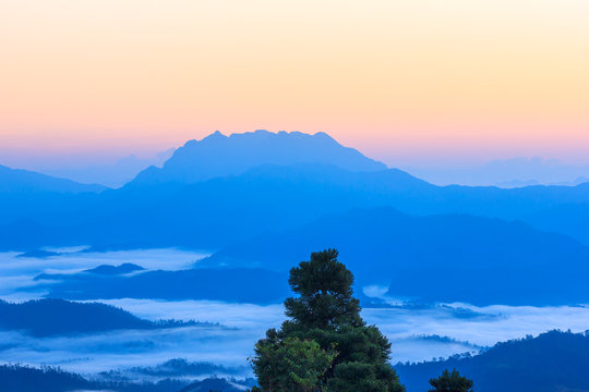 Chadao Bilder – Durchsuchen 285 Archivfotos, Vektorgrafiken und Videos ...