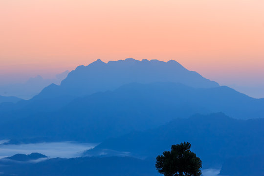 รูปภาพChadao – เลือกดูภาพถ่ายสต็อก เวกเตอร์ และวิดีโอ285 | Adobe Stock