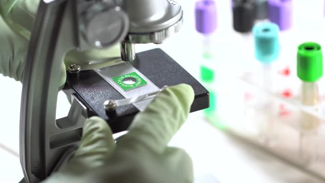 Miscroscope Images – Browse 227 Stock Photos, Vectors, and Video ...