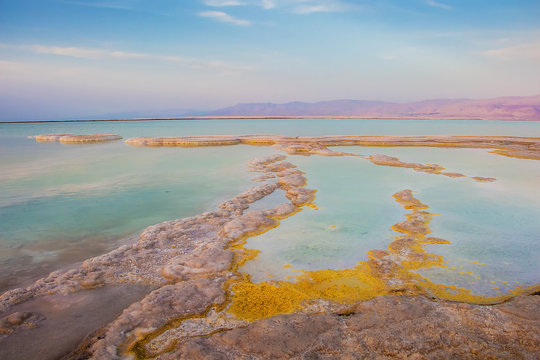 Oversaturated Images – Browse 1,053 Stock Photos, Vectors, and Video ...