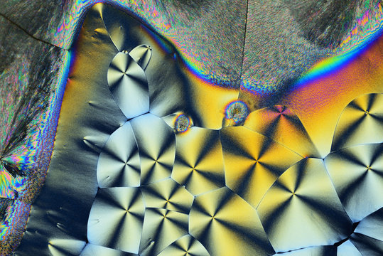 รูปภาพMicrophoto – เลือกดูภาพถ่ายสต็อก เวกเตอร์ และวิดีโอ1,133 | Adobe ...