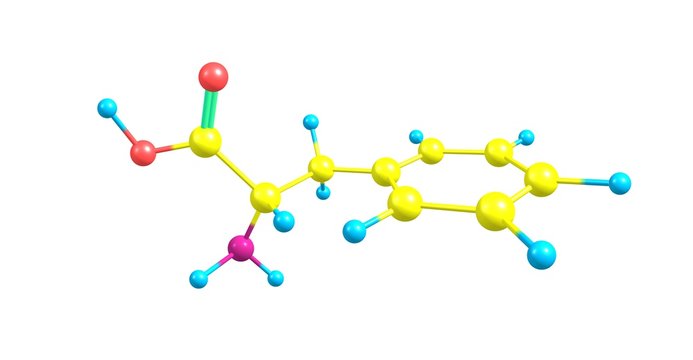 รูปภาพPhenylalanin – เลือกดูภาพถ่ายสต็อก เวกเตอร์ และวิดีโอ1,029 ...