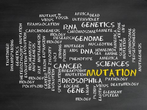 รูปภาพMutagen – เลือกดูภาพถ่ายสต็อก เวกเตอร์ และวิดีโอ845 | Adobe Stock