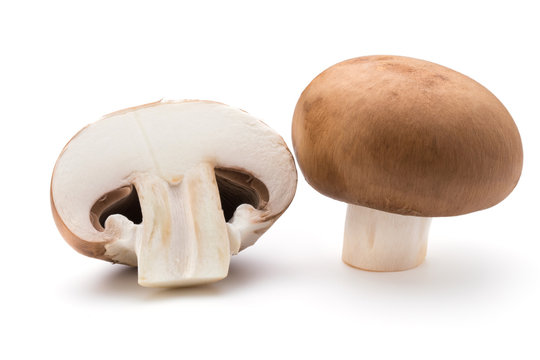 Champignons bilder – Bläddra bland 188,742 stockfoton, vektorer och ...