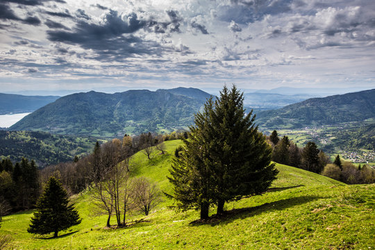 Bluffy Images – Browse 68 Stock Photos, Vectors, and Video | Adobe Stock