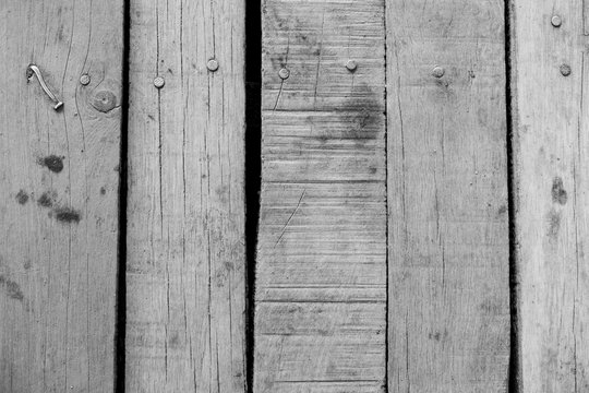 รูปภาพPanal – เลือกดูภาพถ่ายสต็อก เวกเตอร์ และวิดีโอ1,759 | Adobe Stock