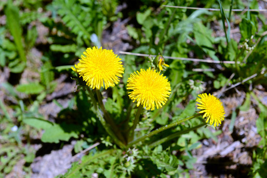 Ubiquitous Images – Browse 2,277 Stock Photos, Vectors, and Video ...