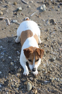 รูปภาพJrt – เลือกดูภาพถ่ายสต็อก เวกเตอร์ และวิดีโอ2,865 | Adobe Stock