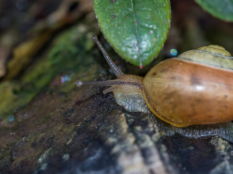 Igitt-Bilder: Stock-Fotos & -Videos. | Adobe Stock