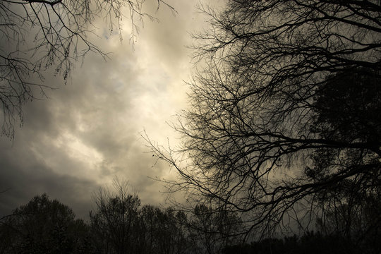 Tenebroso Bilder – Durchsuchen 1,352 Archivfotos, Vektorgrafiken und ...