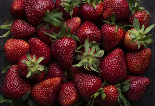 Strawberry Imagens – Procure 1,853,544 fotos, vetores e vídeos | Adobe ...