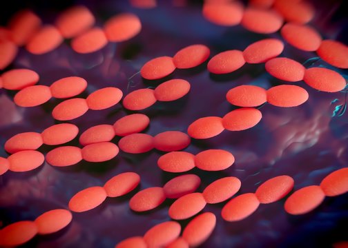 Acetobacter Images – Browse 233 Stock Photos, Vectors, and Video ...