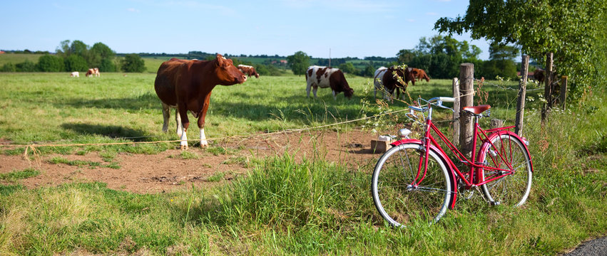 Balade bilder – Bläddra bland 40,759 stockfoton, vektorer och videor ...