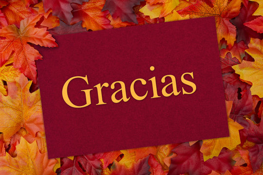 Gracias Images – Browse 4,349 Stock Photos, Vectors, and Video | Adobe ...