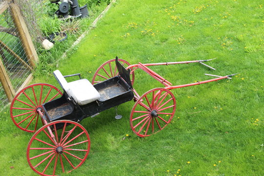 Asian Human Surrey Cart
