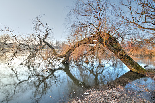 Imagens de Faulschlamm – Explore Fotografias do Stock, Vetores e Vídeos ...