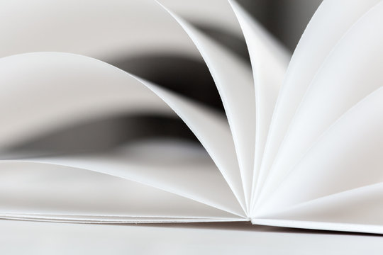 Bended Images – Browse 520,635 Stock Photos, Vectors, and Video | Adobe ...