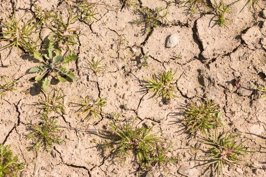 Darben Images – Browse 4 Stock Photos, Vectors, and Video | Adobe Stock