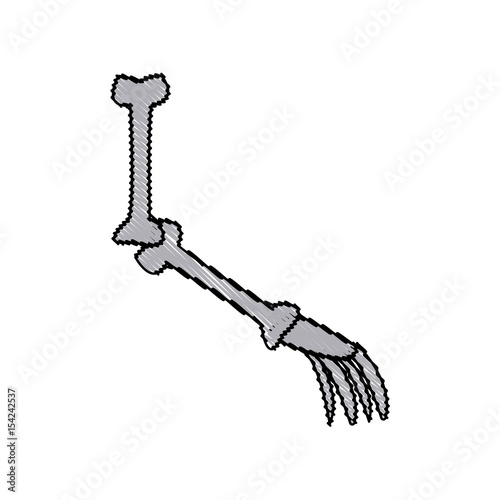 "cartoon arm bone part skeleton comic vector illustration" Stock image ...