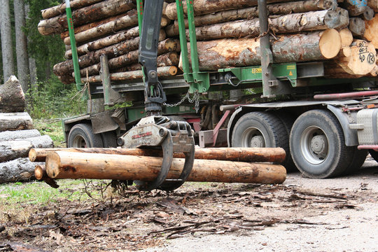 รูปภาพHolzverkauf – เลือกดูภาพถ่ายสต็อก เวกเตอร์ และวิดีโอ244 | Adobe Stock