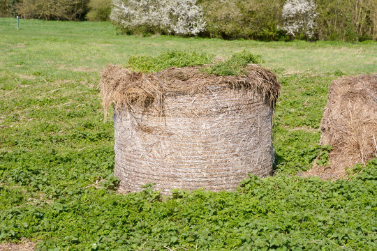 Hay-Stack 이미지 – 찾아보기 60 스톡 사진, 벡터 및 비디오 | Adobe Stock