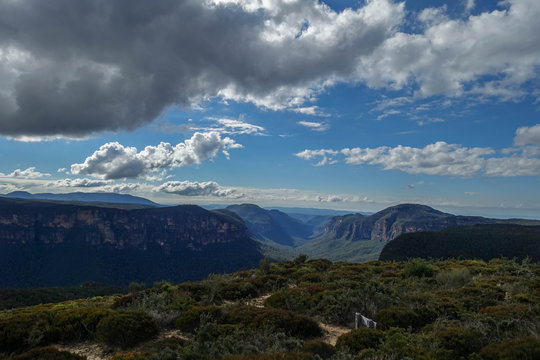 Grose Images – Parcourir 365 le catalogue de photos, vecteurs et vidéos ...
