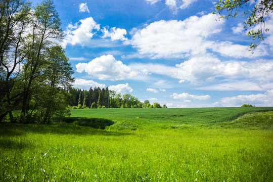 Free Field Images – Browse 24,263 Free Stock Photos, Vectors, and Video ...