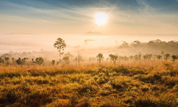 รูปภาพKhaokho – เลือกดูภาพถ่ายสต็อก เวกเตอร์ และวิดีโอ658 | Adobe Stock