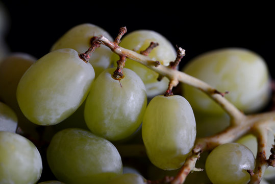 Druva Images – Browse 29 Stock Photos, Vectors, and Video | Adobe Stock