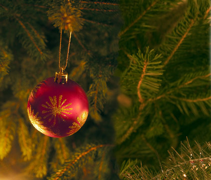 Julkula Images – Browse 7 Stock Photos, Vectors, and Video | Adobe Stock