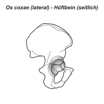 รูปภาพ"Schilling – เลือกดูภาพถ่ายสต็อก เวกเตอร์ และวิดีโอ1,279 | Adobe ...