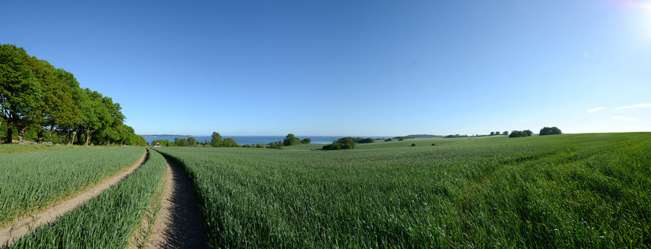 Panoramafoto 이미지 – 찾아보기 4,175 스톡 사진, 벡터 및 비디오 | Adobe Stock